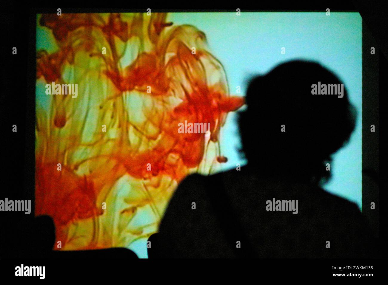 Audience watching video hi-res stock photography and images - Alamy