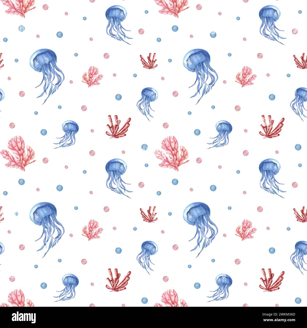 Coral with polyps illustration hi-res stock photography and images - Alamy