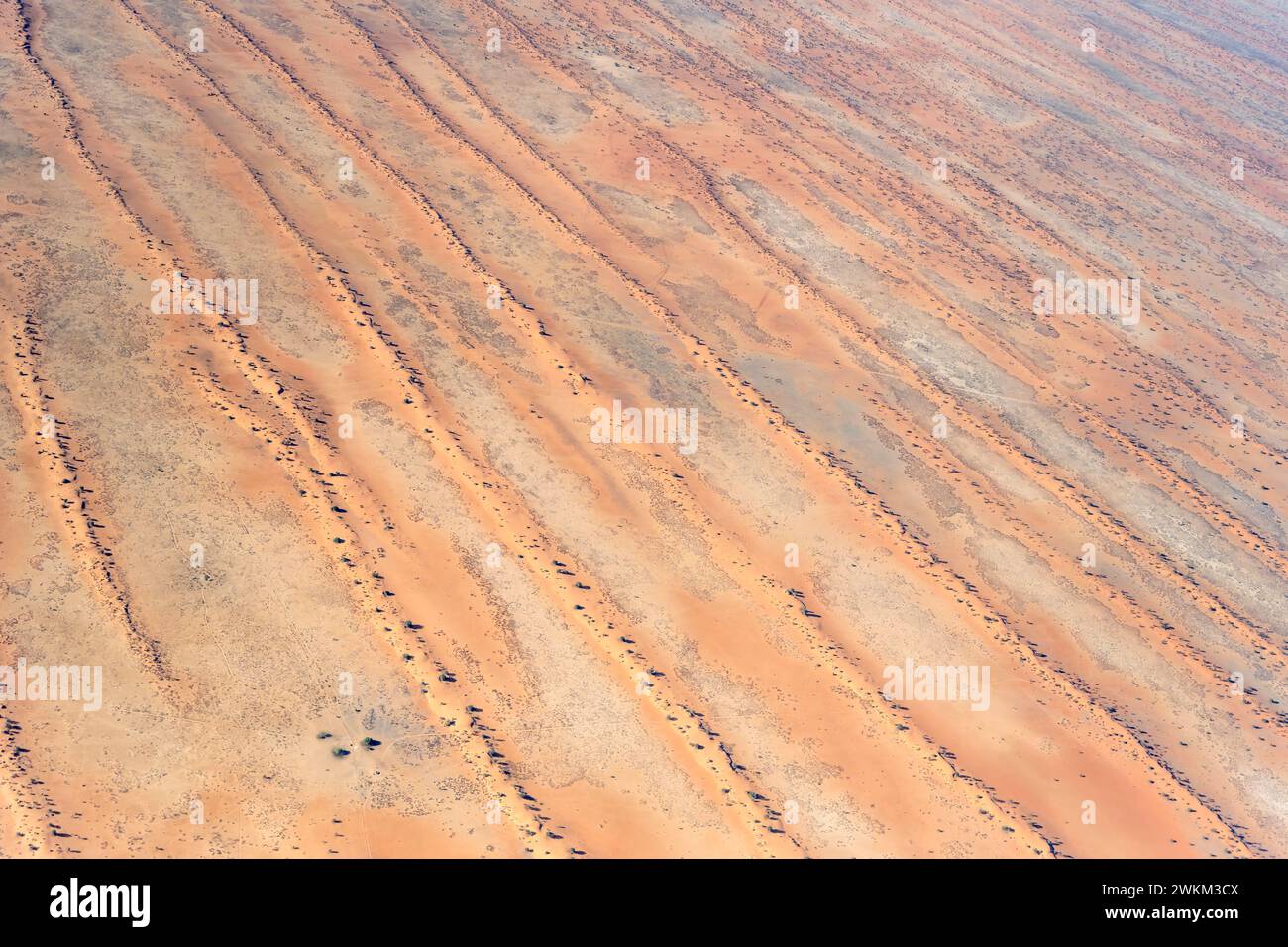 aerial landscape with red dune stripes in Kalahari desert, shot from a ...
