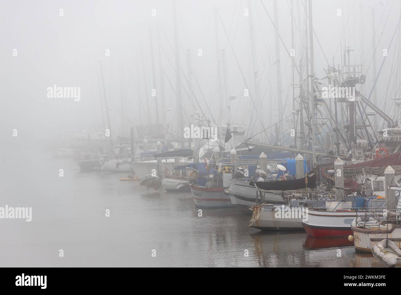 Cold, foggy, eerie harbor and dock with yachts and sailboats mainsail ...
