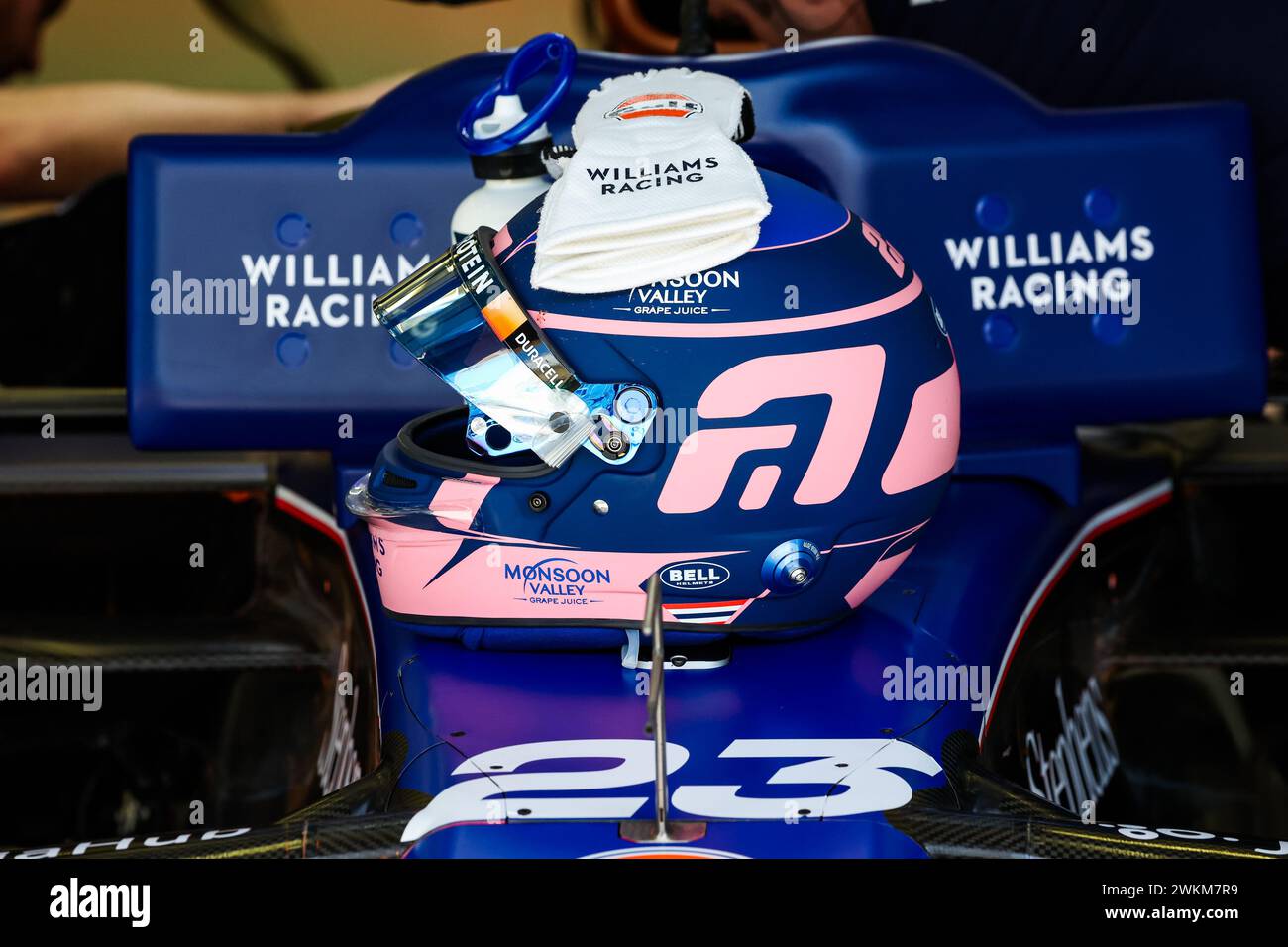 ALBON Alexander (tha), Williams Racing FW46, helmet, during the Formula ...