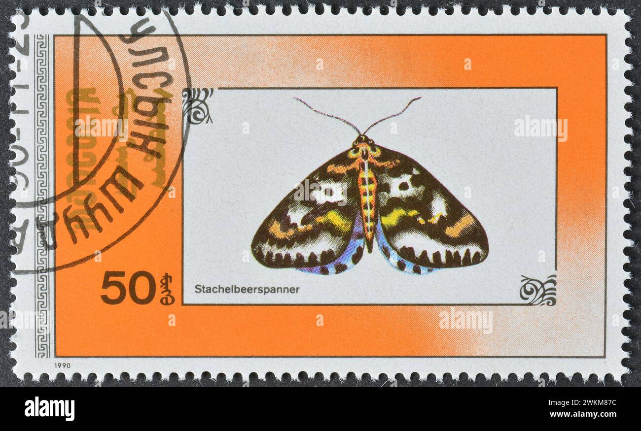 Cancelled postage stamp printed by Mongolia, that shows Magpie Moth ...