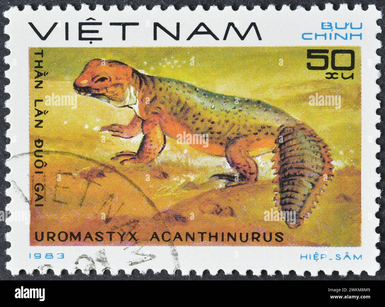 Cancelled postage stamp printed by Vietnam, that shows North African ...