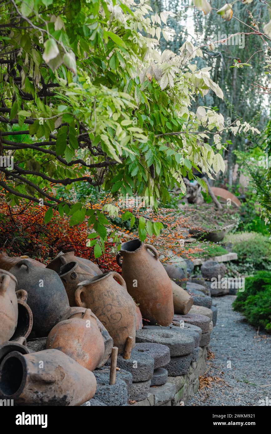 Ancient pottery on stone wall with green foliage and berry bush ...