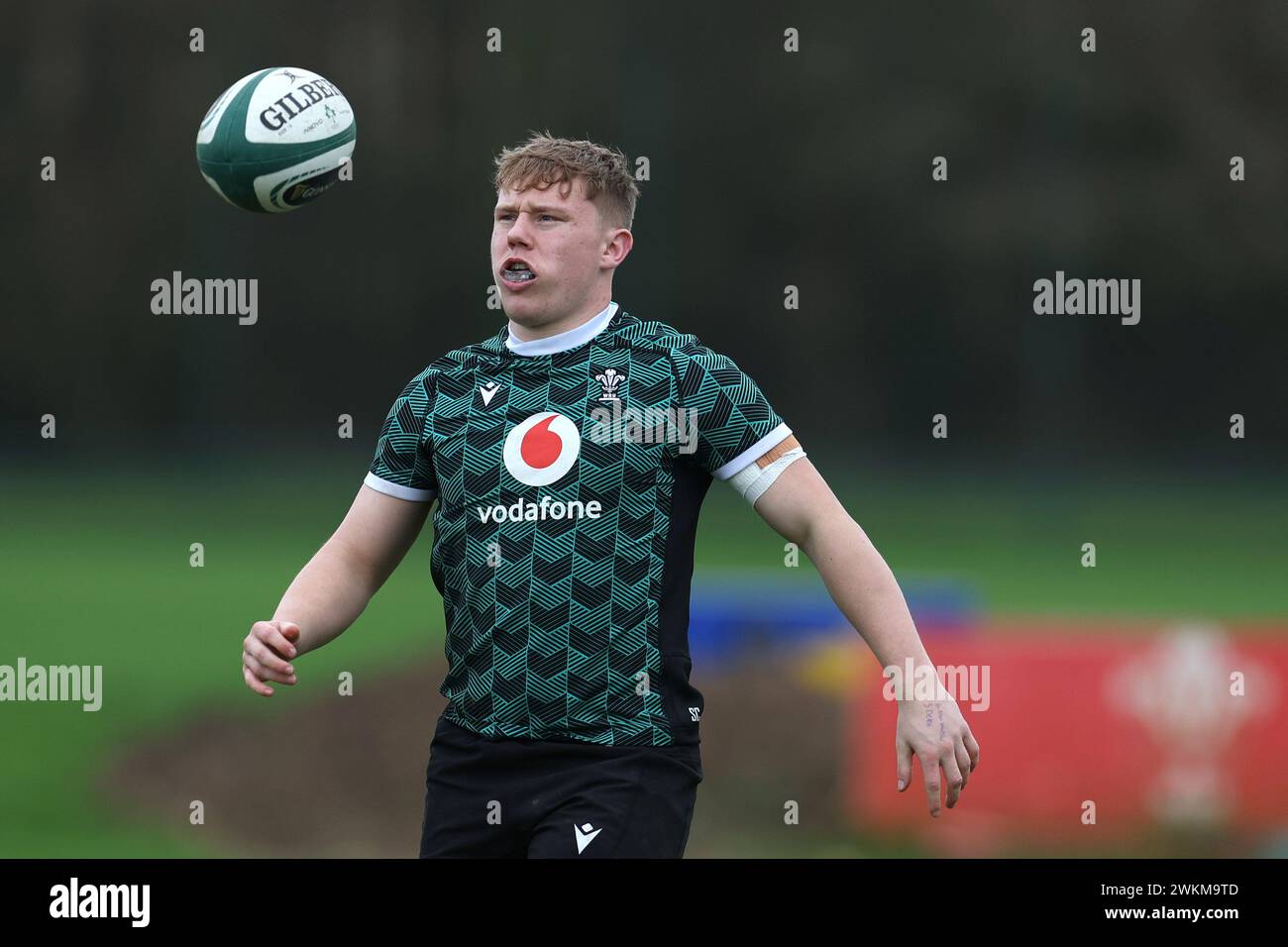 Cardiff, UK. 20th Feb, 2024. Sam Costelow of Wales. Wales rugby team ...