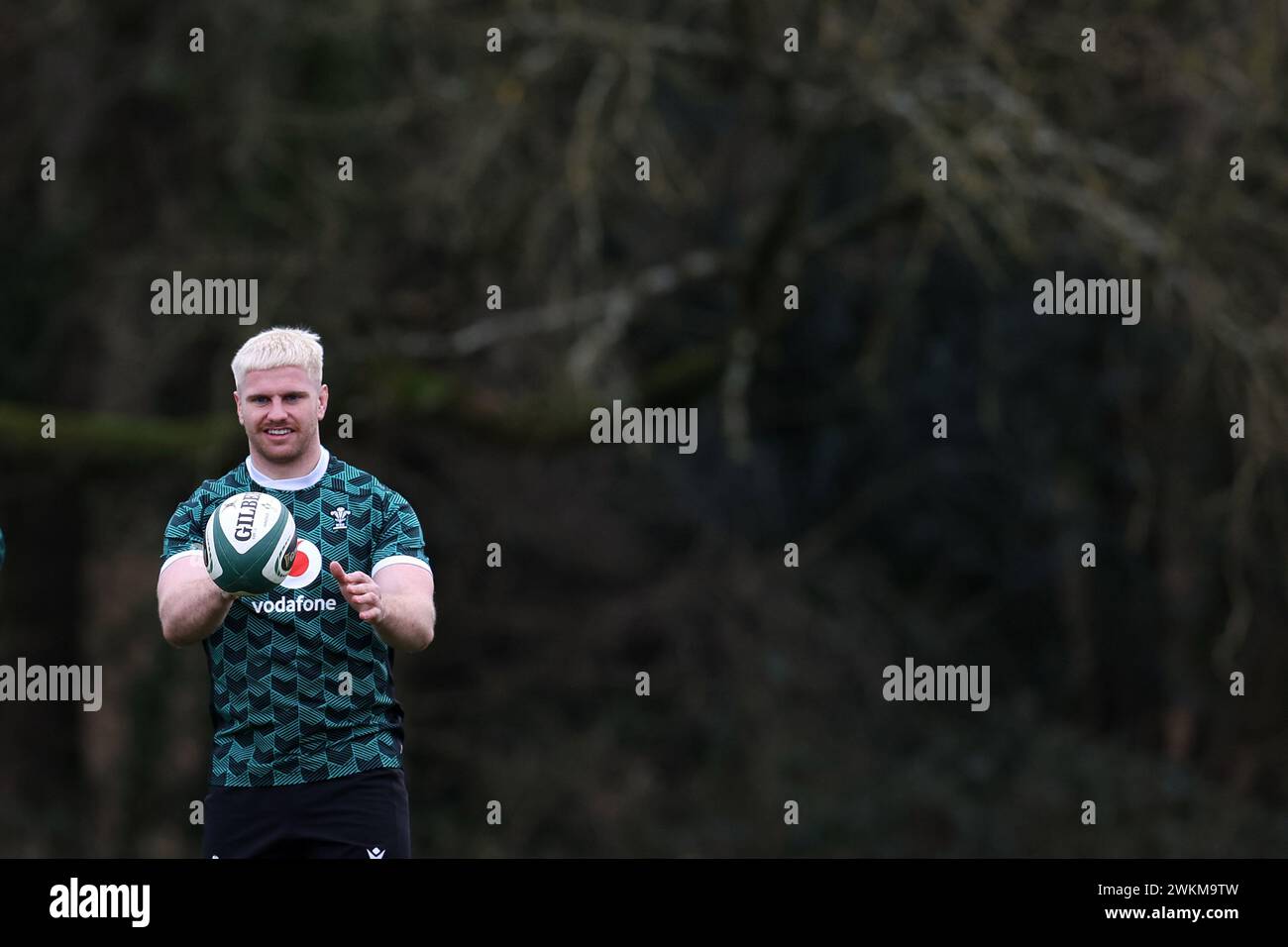 Cardiff, UK. 20th Feb, 2024. Aaron Wainwright of Wales. Wales rugby ...