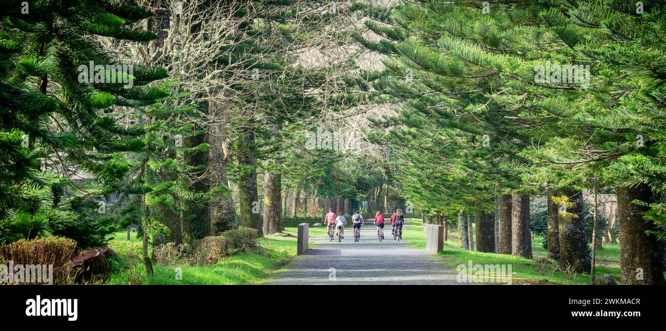 5 people in the distance cycling through the surrounding environment of ...