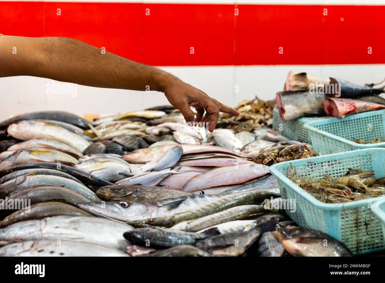 A charismatic fishmonger holds up a glistening fish, drawing attention ...