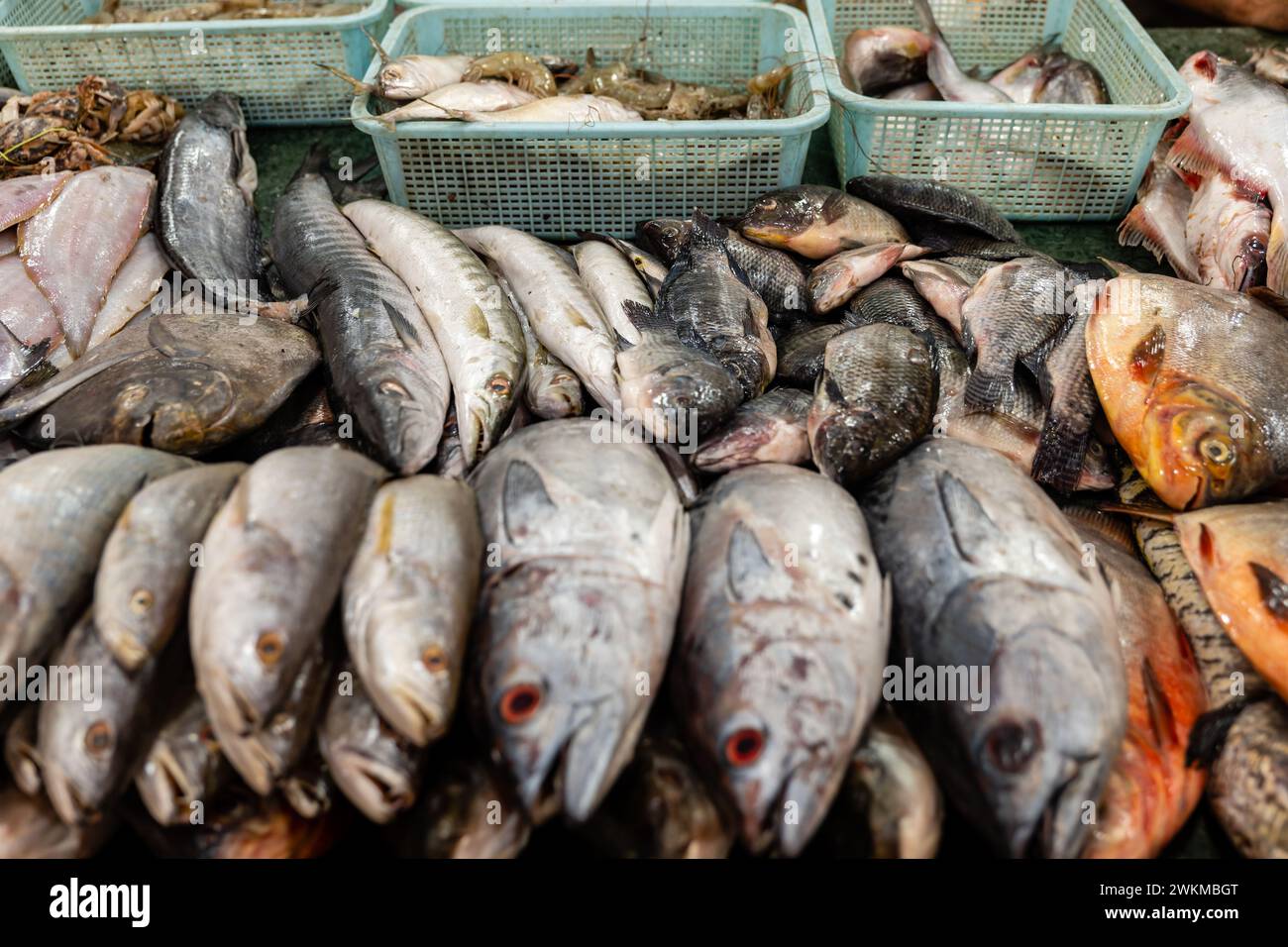 Dive into the heart of a bustling Indian fish market Stock Photo - Alamy