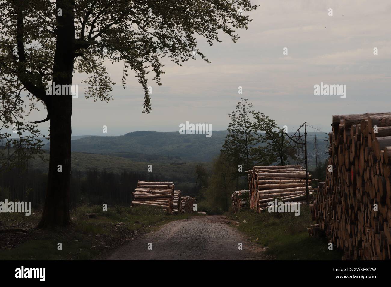 Wanderung im taunus hi-res stock photography and images - Alamy