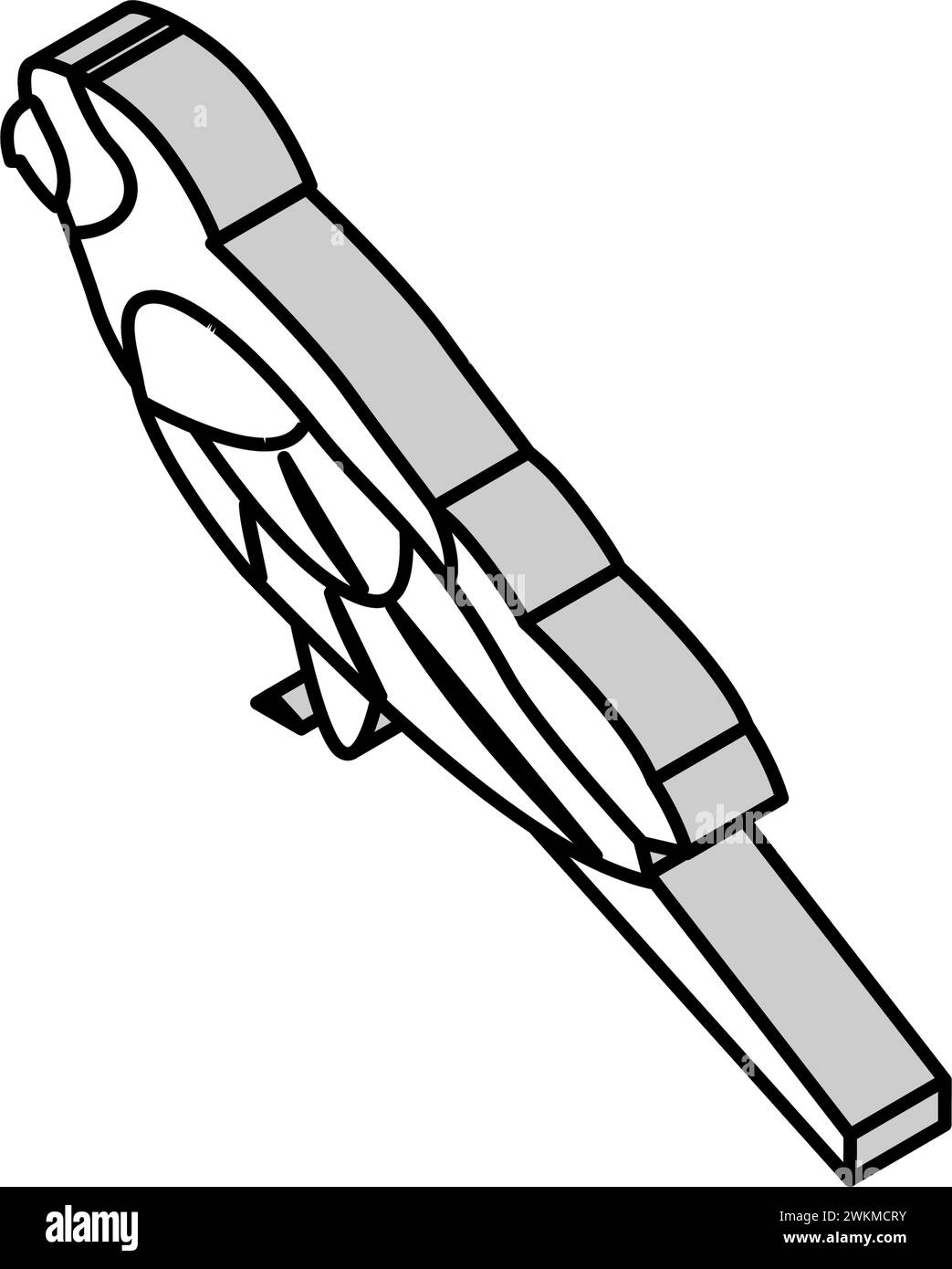 scarlet macaw sitting parrot bird isometric icon vector illustration ...