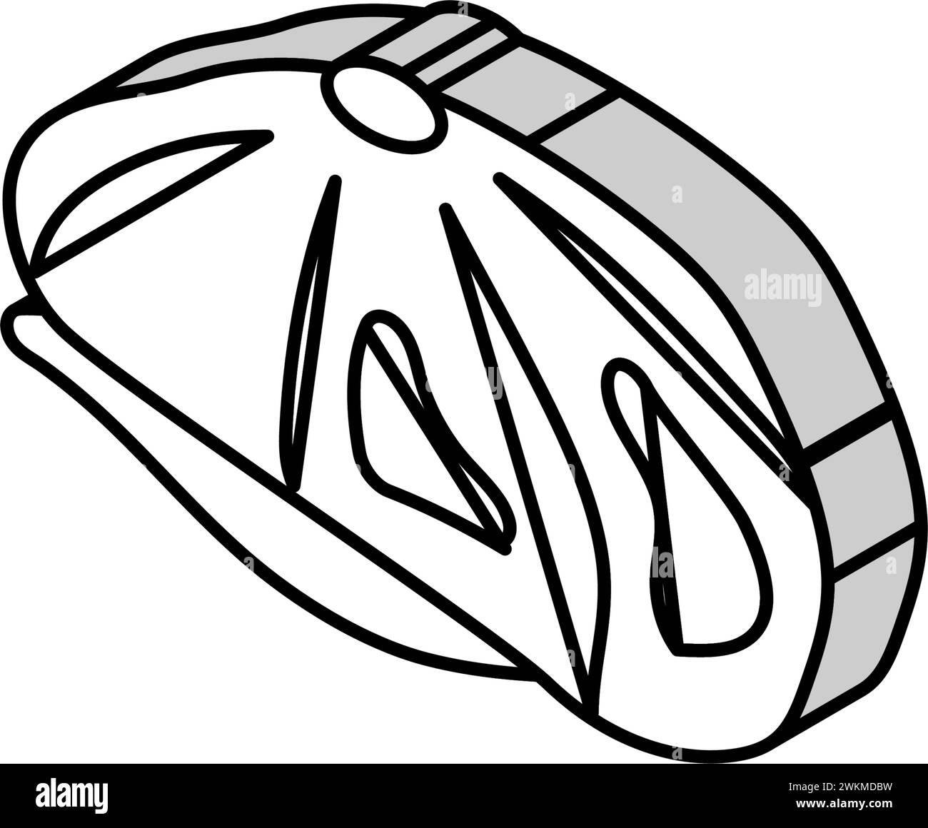 newsboy hat cap isometric icon vector illustration Stock Vector Image ...