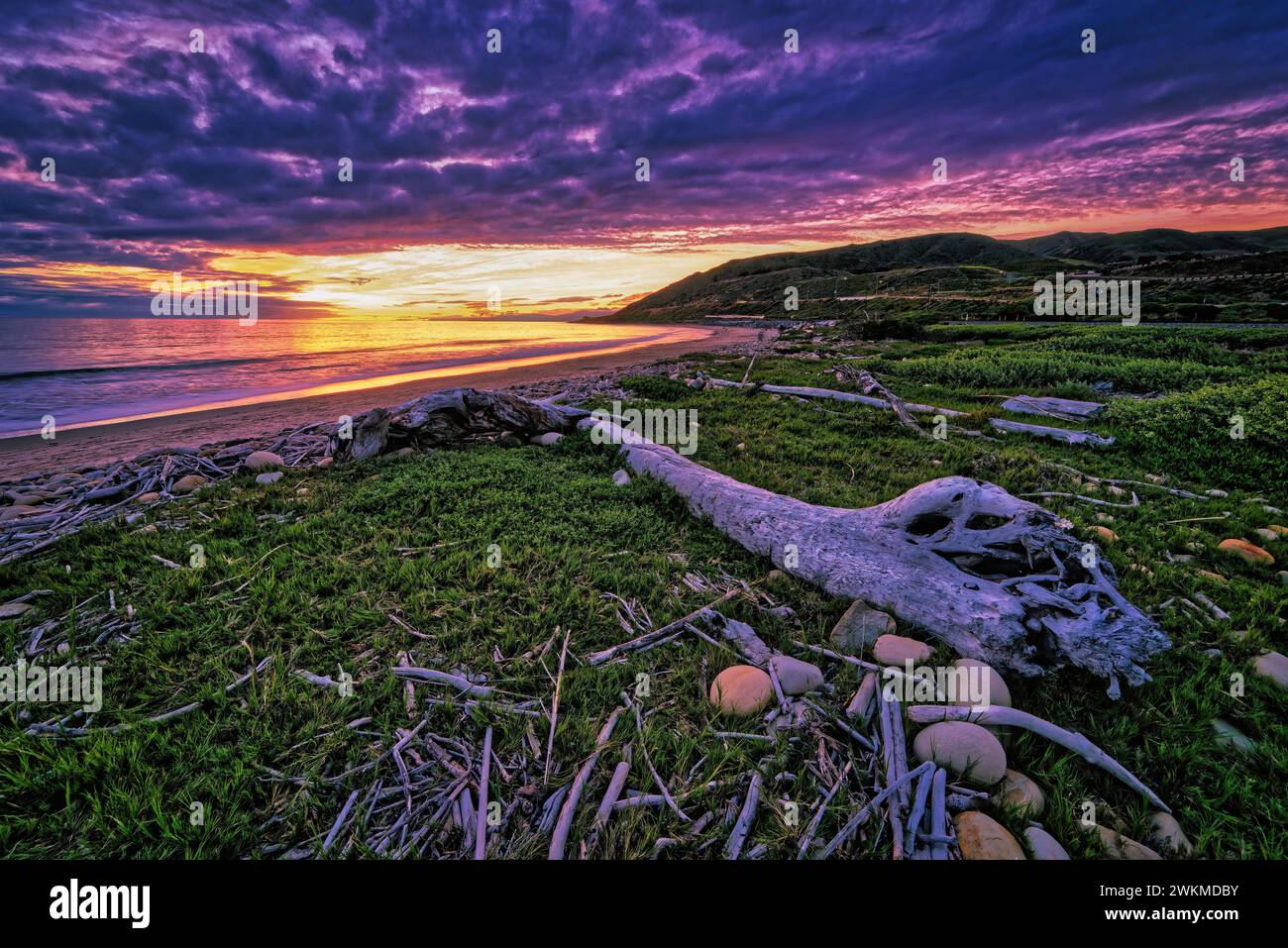 A colorful beach sunset with assorted rocks and branches Stock Photo ...
