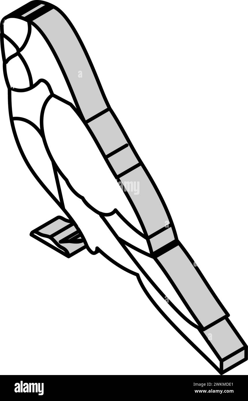 budgerigar parakeet bird parrot isometric icon vector illustration ...