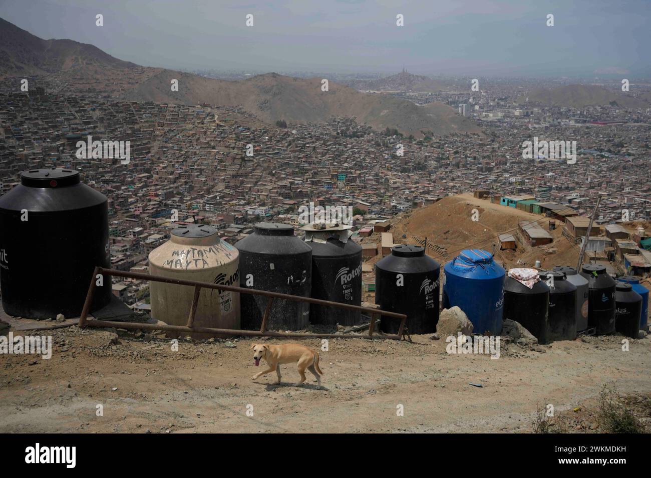 A dog walks past water tanks on a hot summer day in the Nuevo Paraiso ...