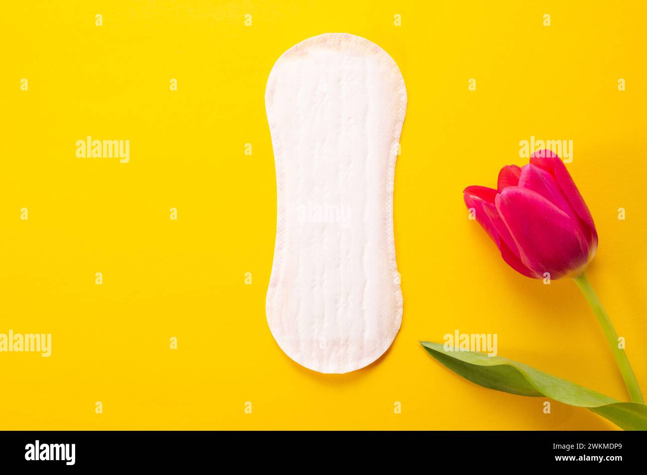 Feminine hygiene pad and tulip on yellow background. First menstrual ...
