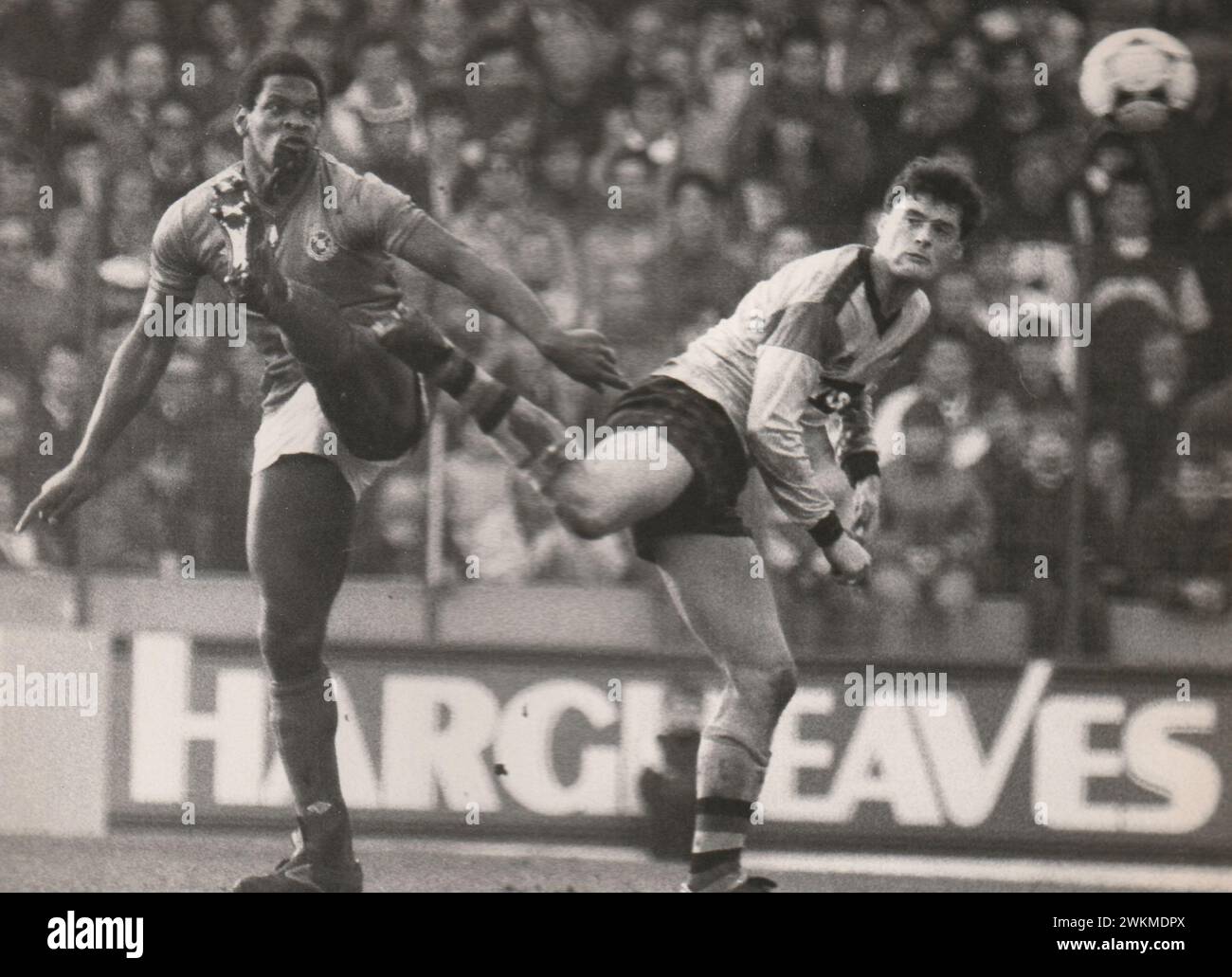 Frankie bunn hi-res stock photography and images - Alamy