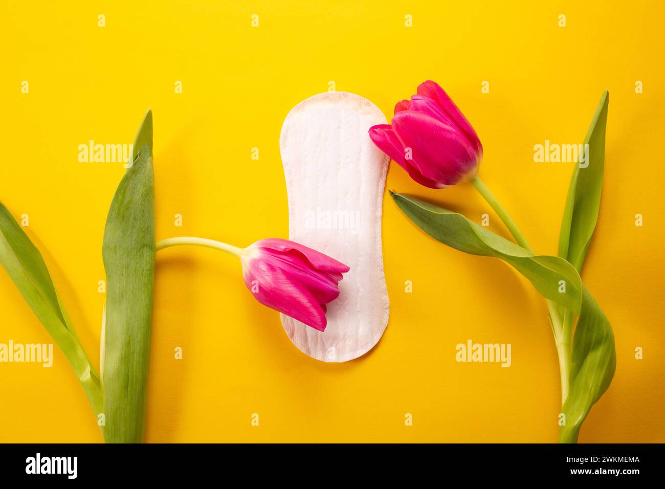 Feminine hygiene pad and tulip on yellow background. First menstrual ...