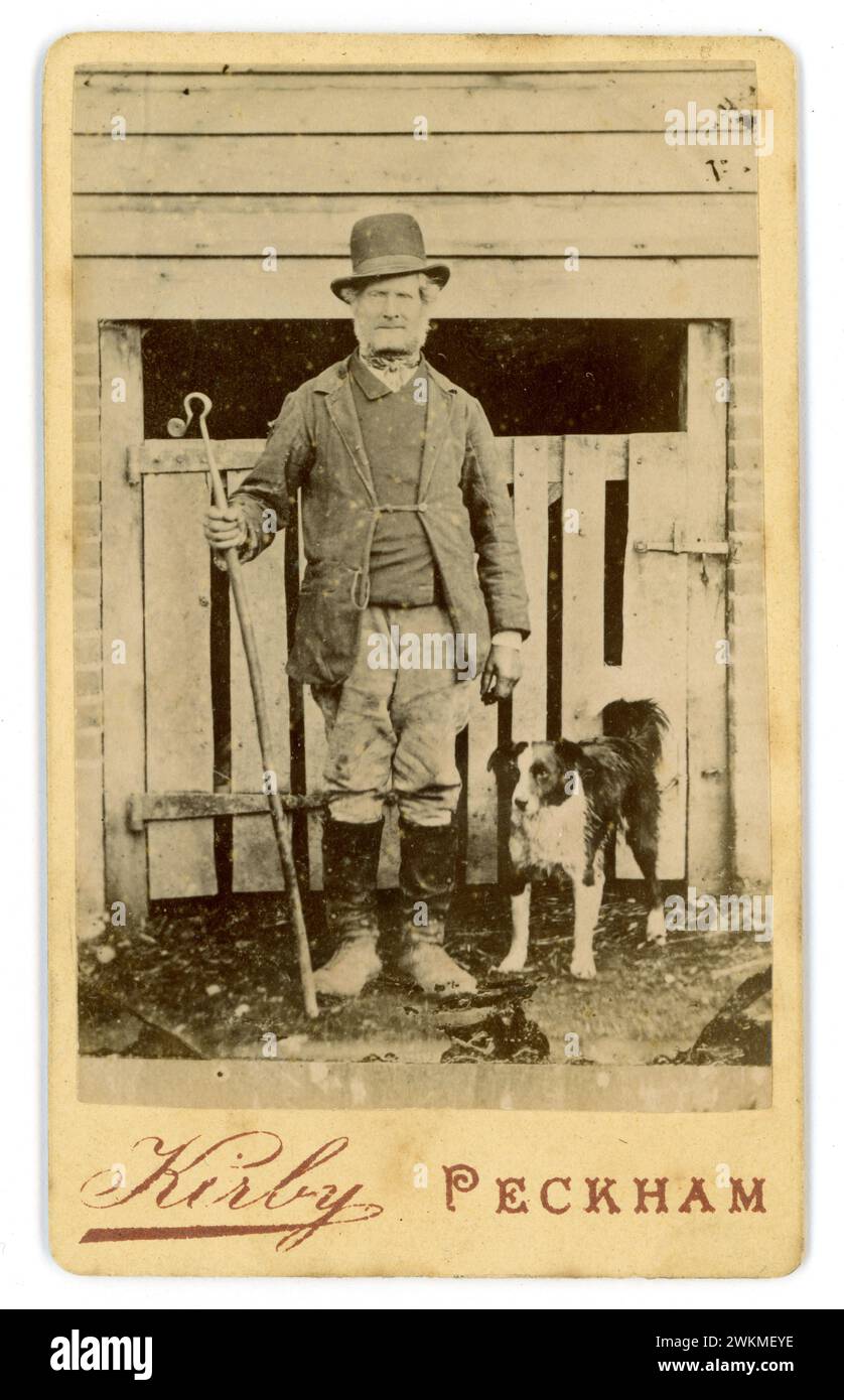1880 1884 Cut Out Stock Images & Pictures - Alamy