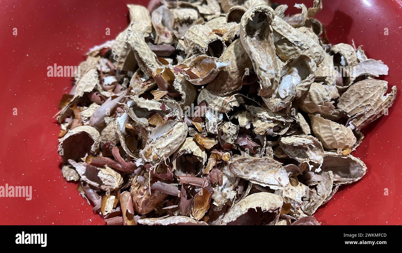 A Close up peanut shell.peanut shells can use as compost Stock Photo ...