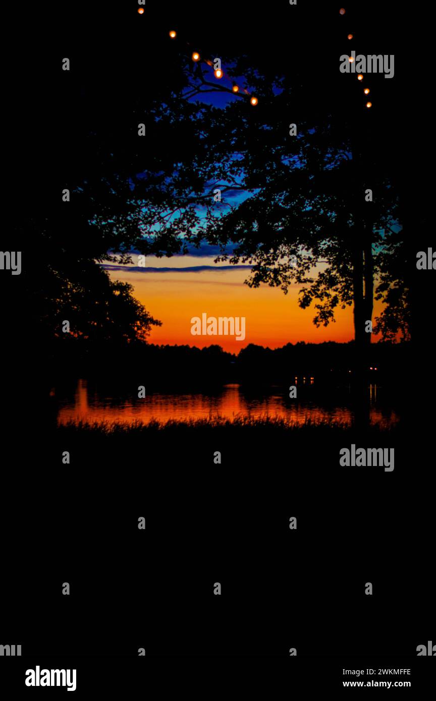 Sunset scene with glowing fireflies above water and trees Stock Photo ...