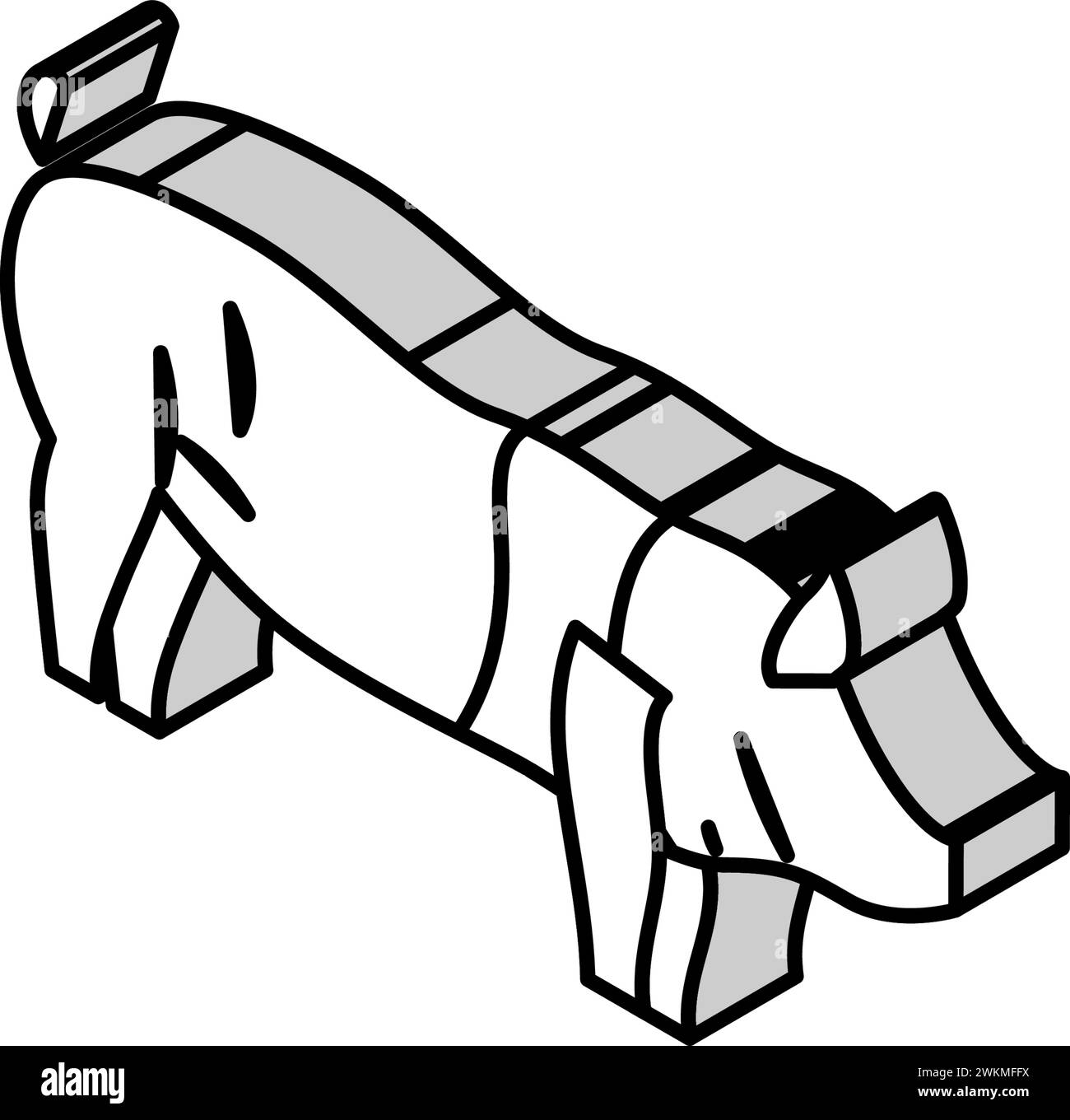 hampshire pig breed isometric icon vector illustration Stock Vector ...