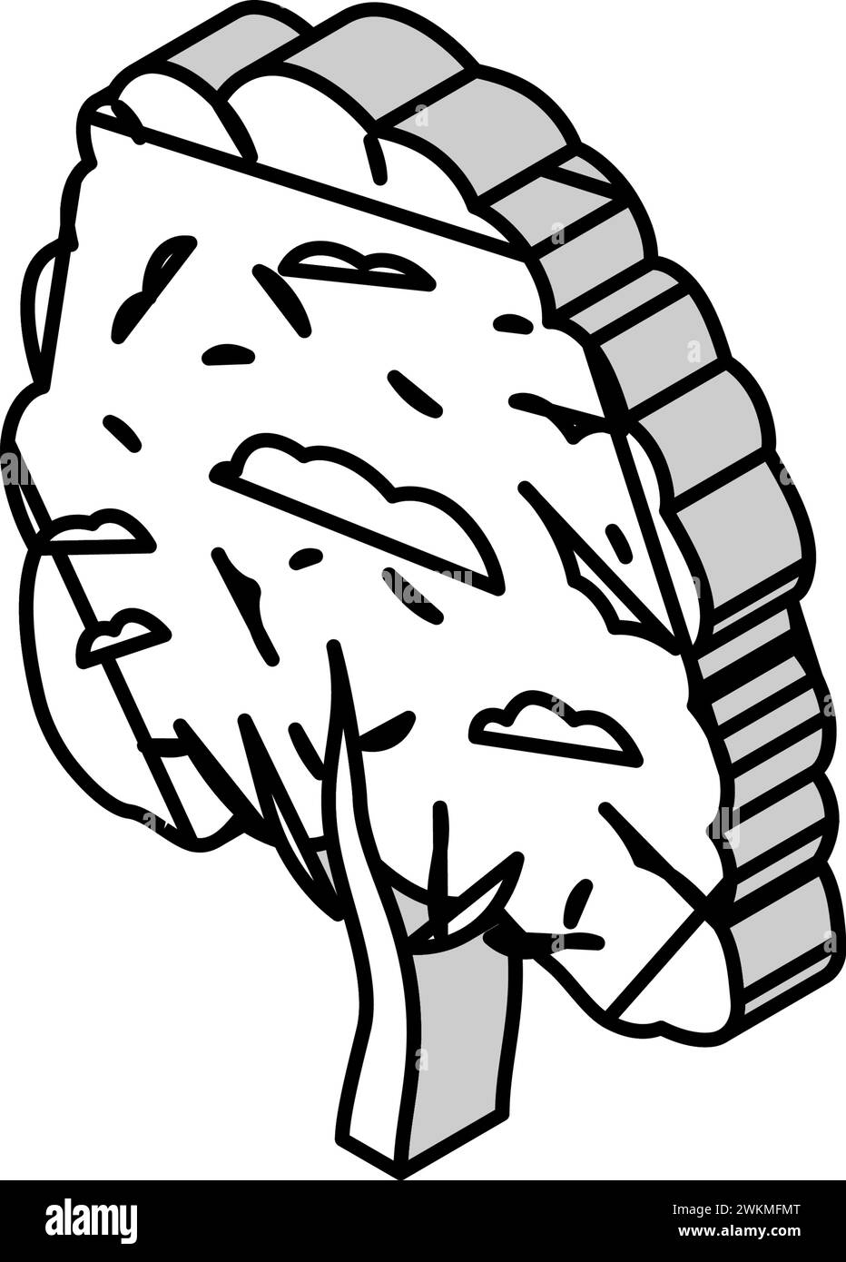 neem tree jungle amazon isometric icon vector illustration Stock Vector ...