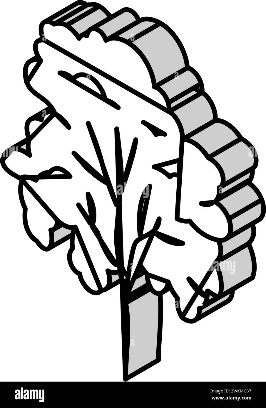 padauk tree jungle amazon isometric icon vector illustration Stock ...