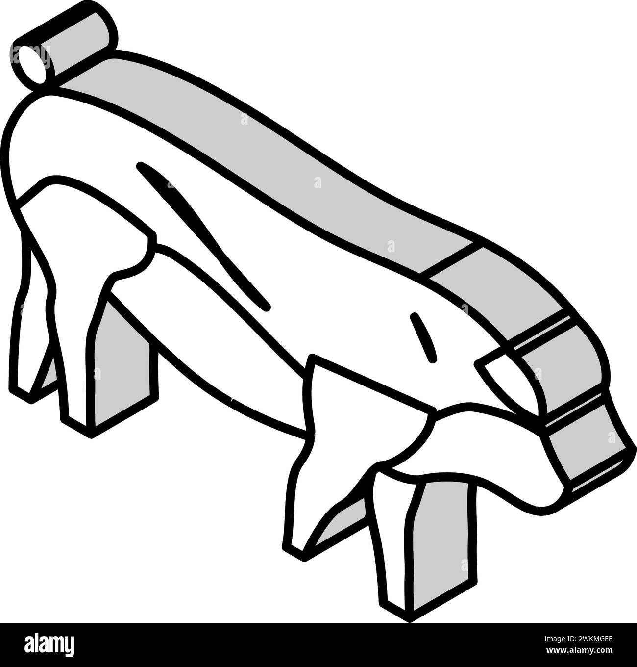 duroc pig breed isometric icon vector illustration Stock Vector Image ...