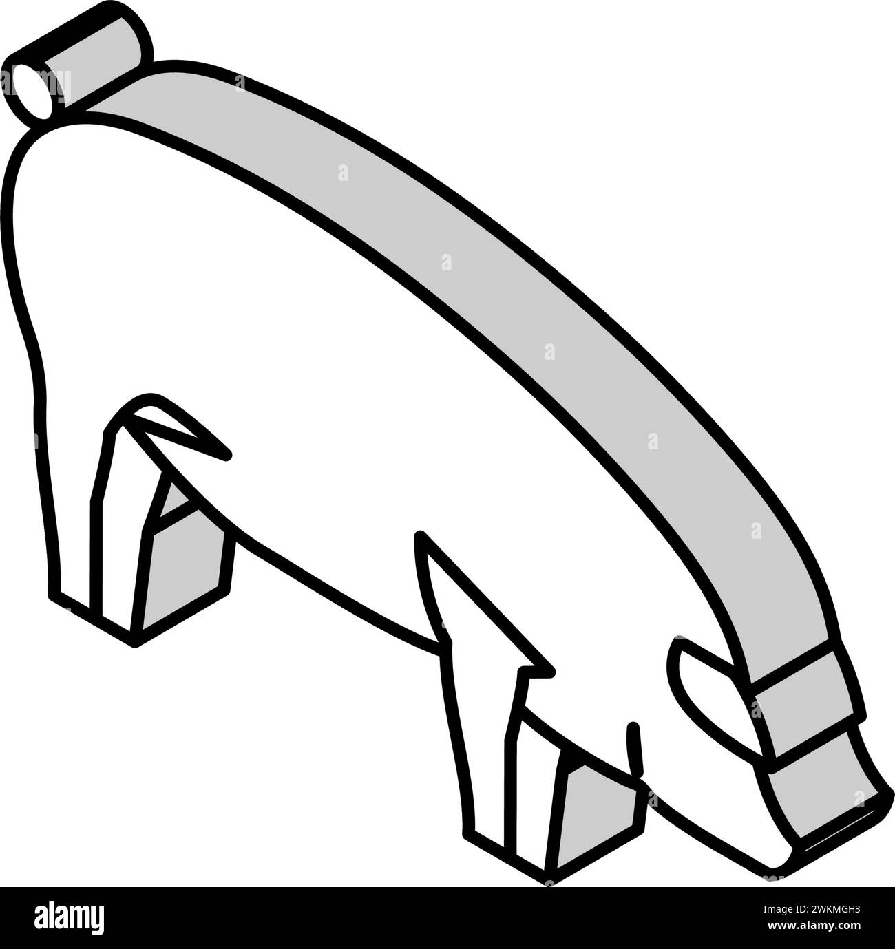 landrace pig breed isometric icon vector illustration Stock Vector ...