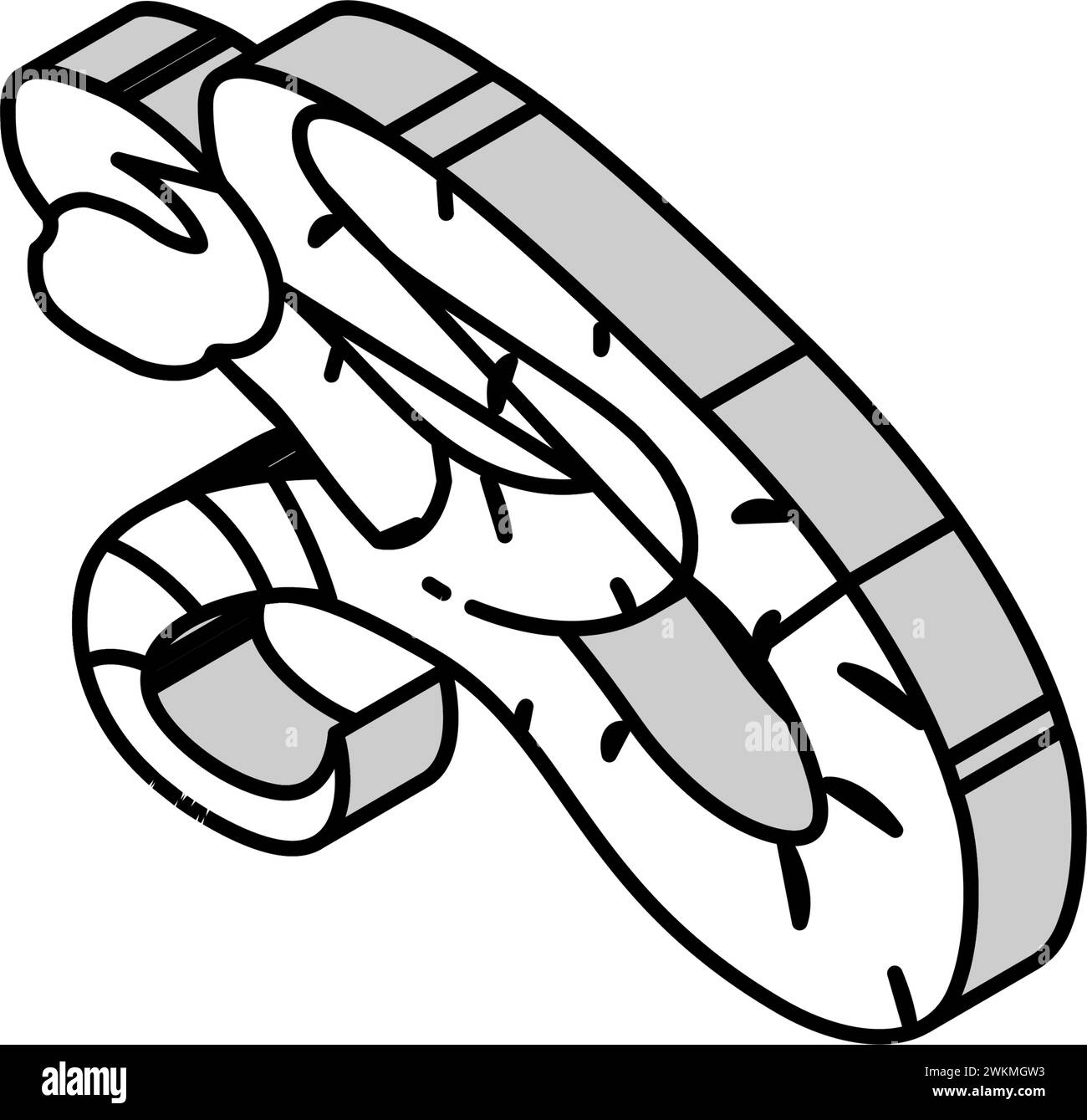 Boa constrictor serpent Black and White Stock Photos & Images - Alamy