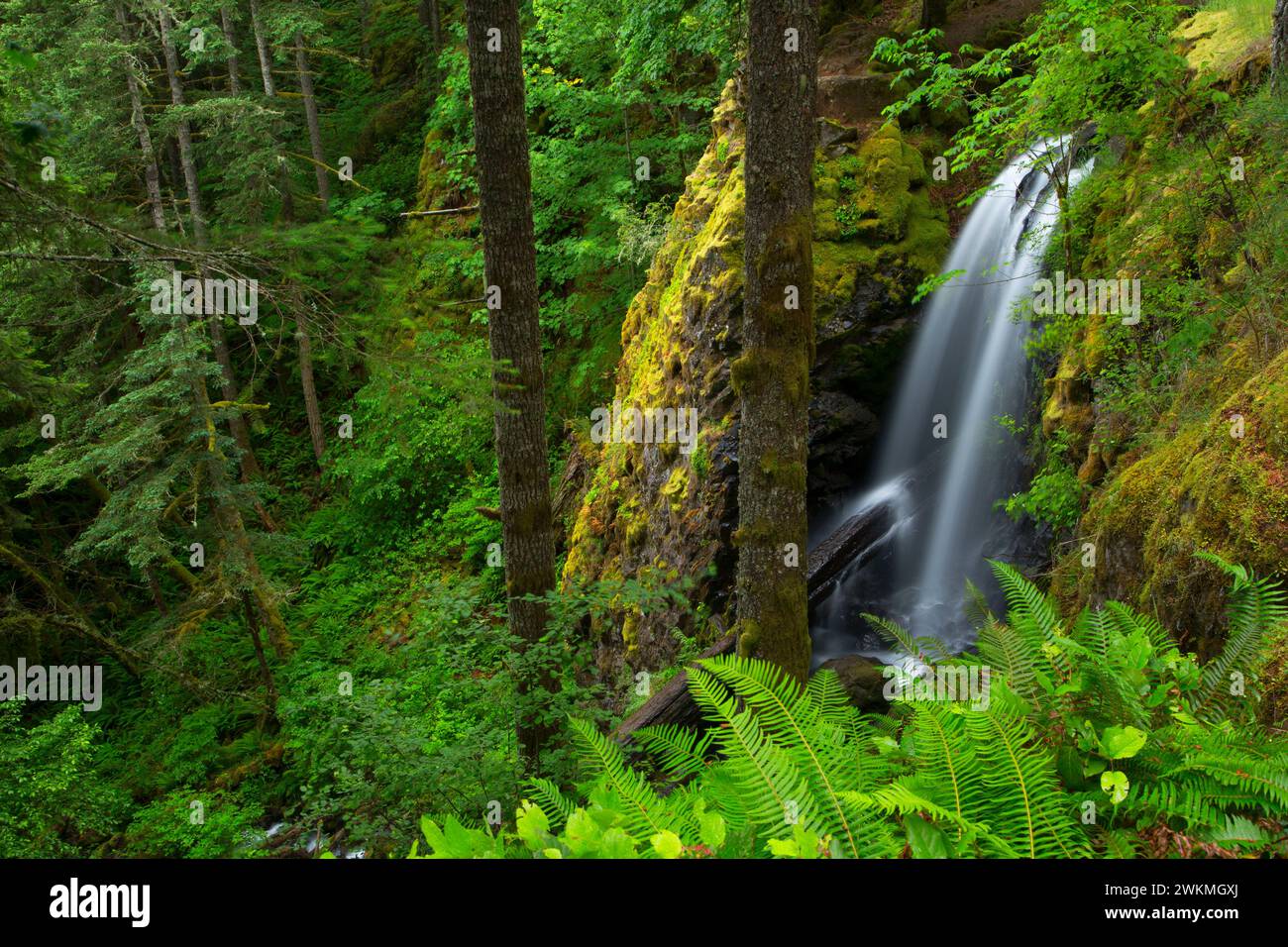 Lower shellburg falls hi-res stock photography and images - Alamy