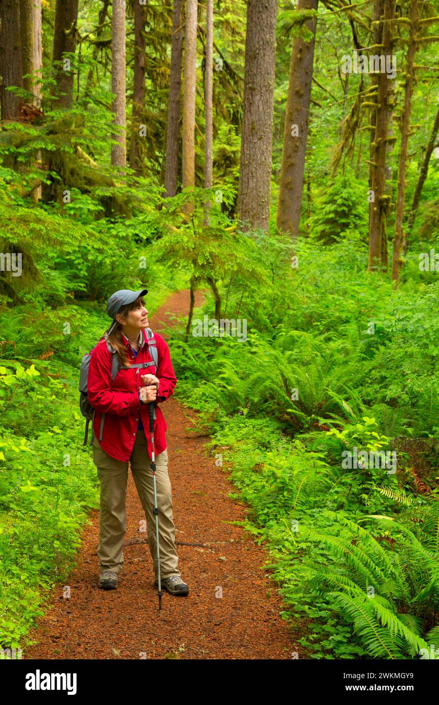 Shellburg falls trail hi-res stock photography and images - Alamy
