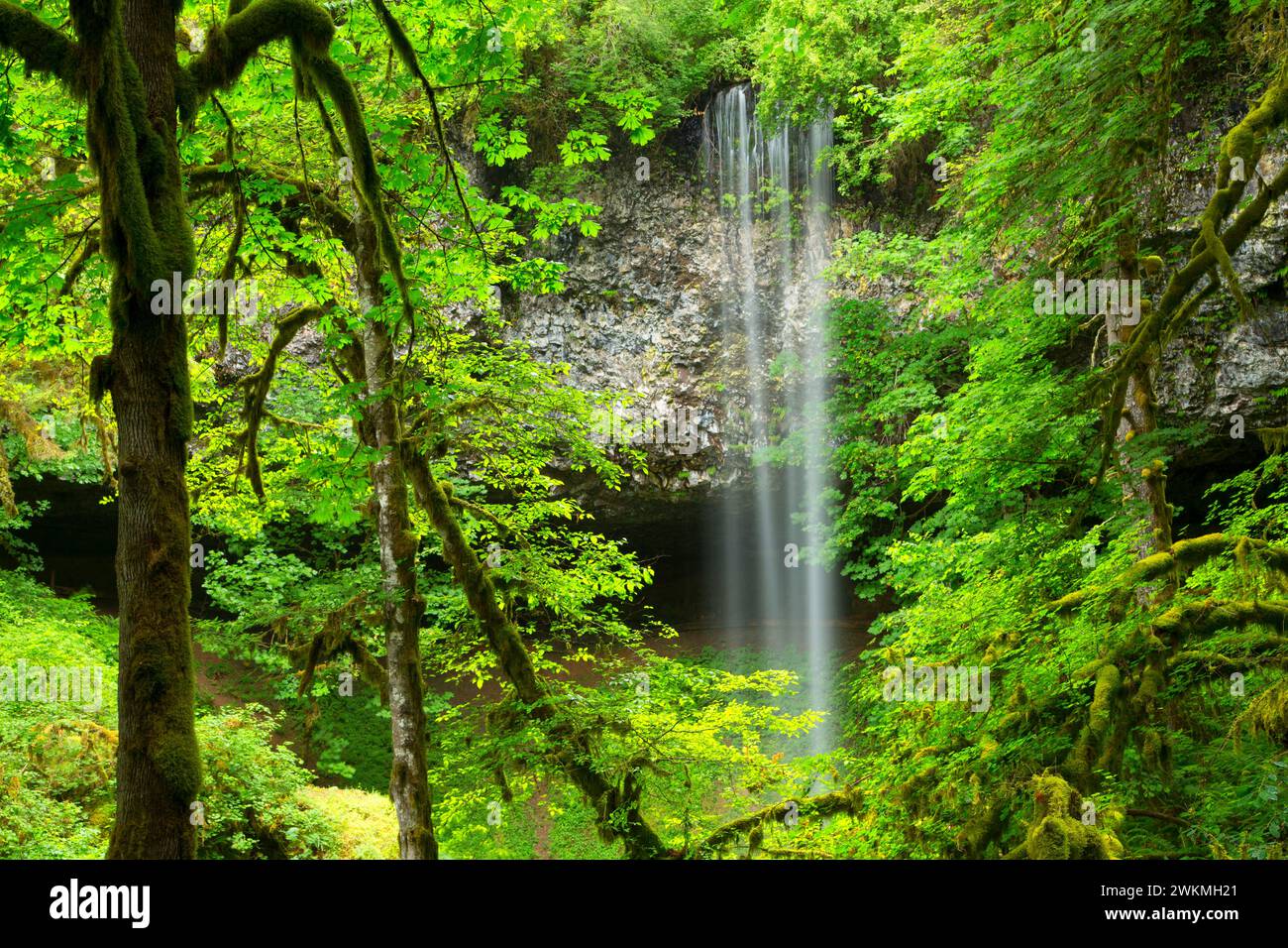 Shellburg Falls along Shellburg Falls Trail, Santiam State Forest ...