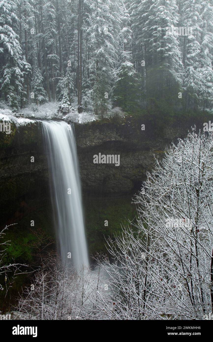 South Falls in winter, Silver Falls State Park, Oregon Stock Photo - Alamy