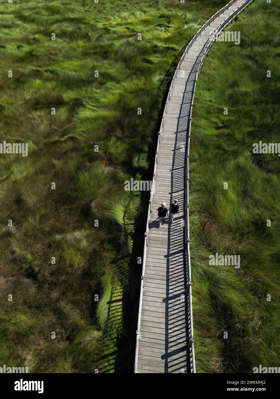 A visitor walks on the Catoira wooden river walk. Wooden walkway over ...