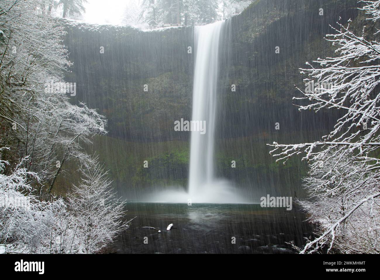 South Falls in winter, Silver Falls State Park, Oregon Stock Photo - Alamy