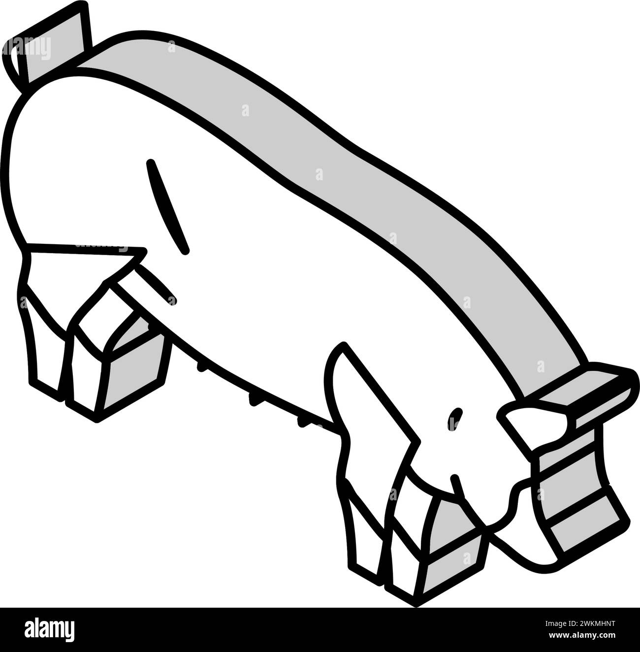 berkshire pig breed isometric icon vector illustration Stock Vector ...