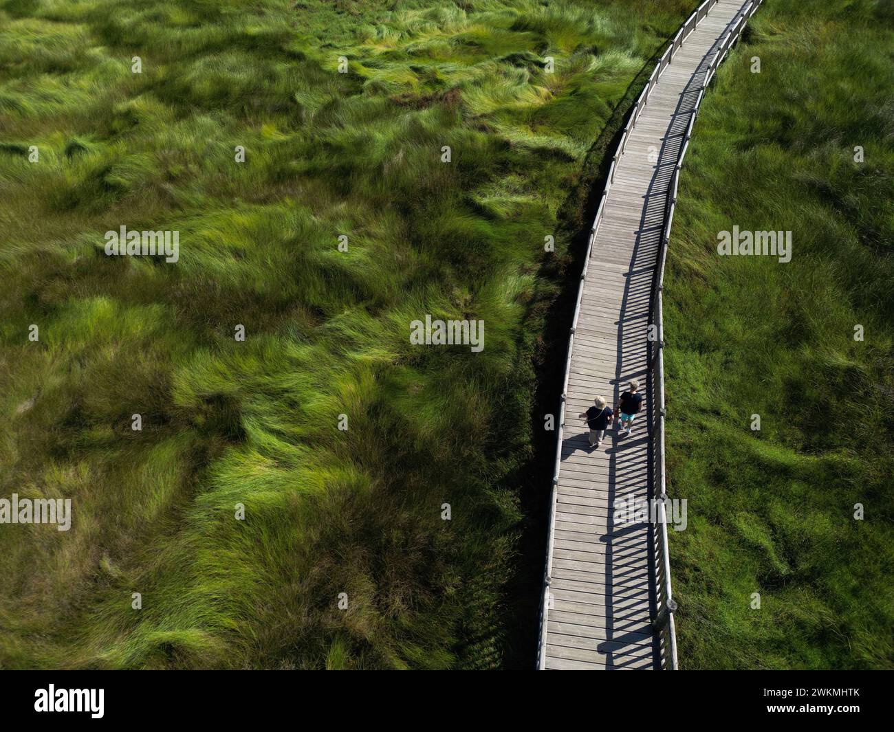 A visitor walks on the Catoira wooden river walk. Wooden walkway over ...