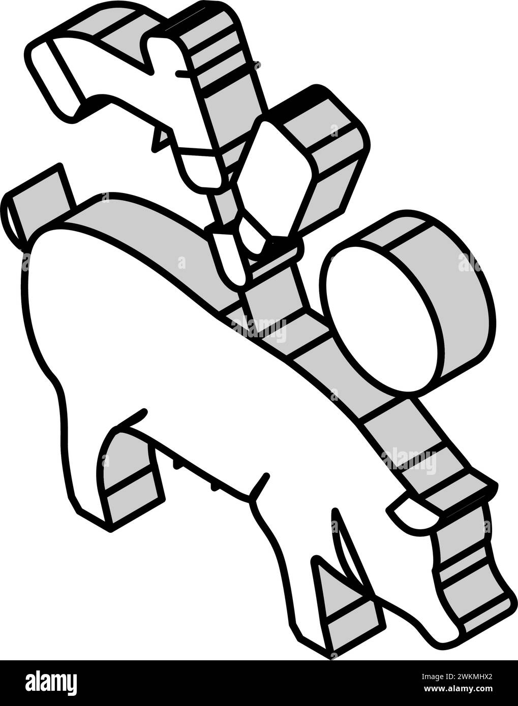 pig vaccination isometric icon vector illustration Stock Vector Image ...