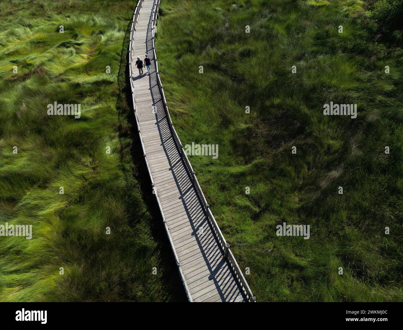 A visitor walks on the Catoira wooden river walk. Wooden walkway over ...