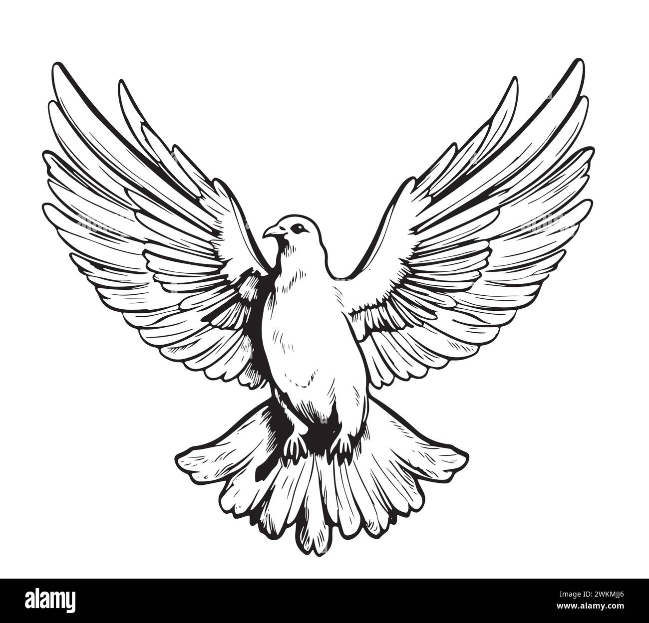 Hand drawing dove sketch Symbol of peace Stock Vector Image & Art - Alamy