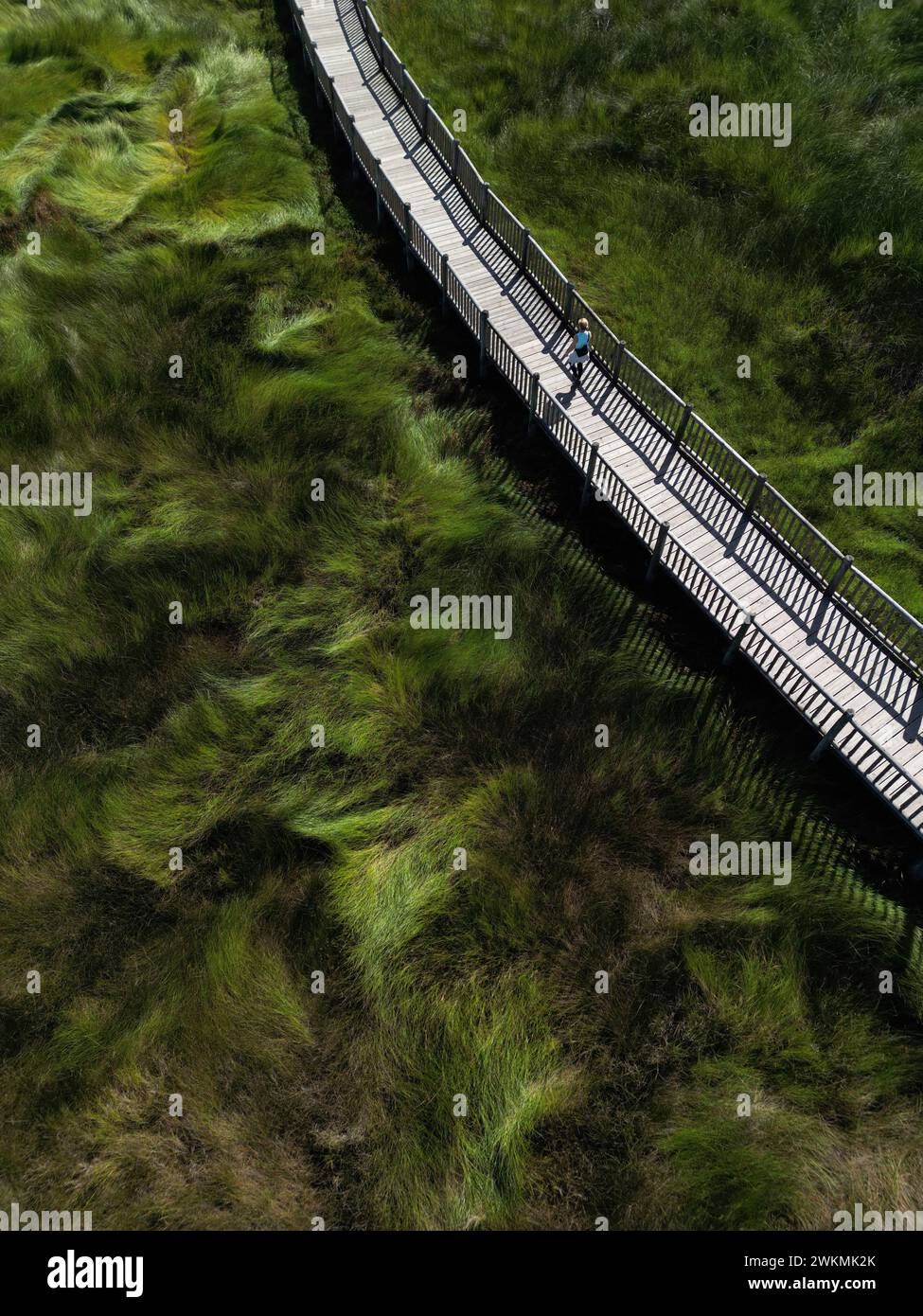 Wooden walkway in the Ulla River wetland in Torres do Oeste, Catoira ...