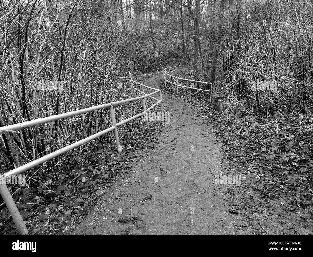 Path through farm land Black and White Stock Photos & Images - Alamy