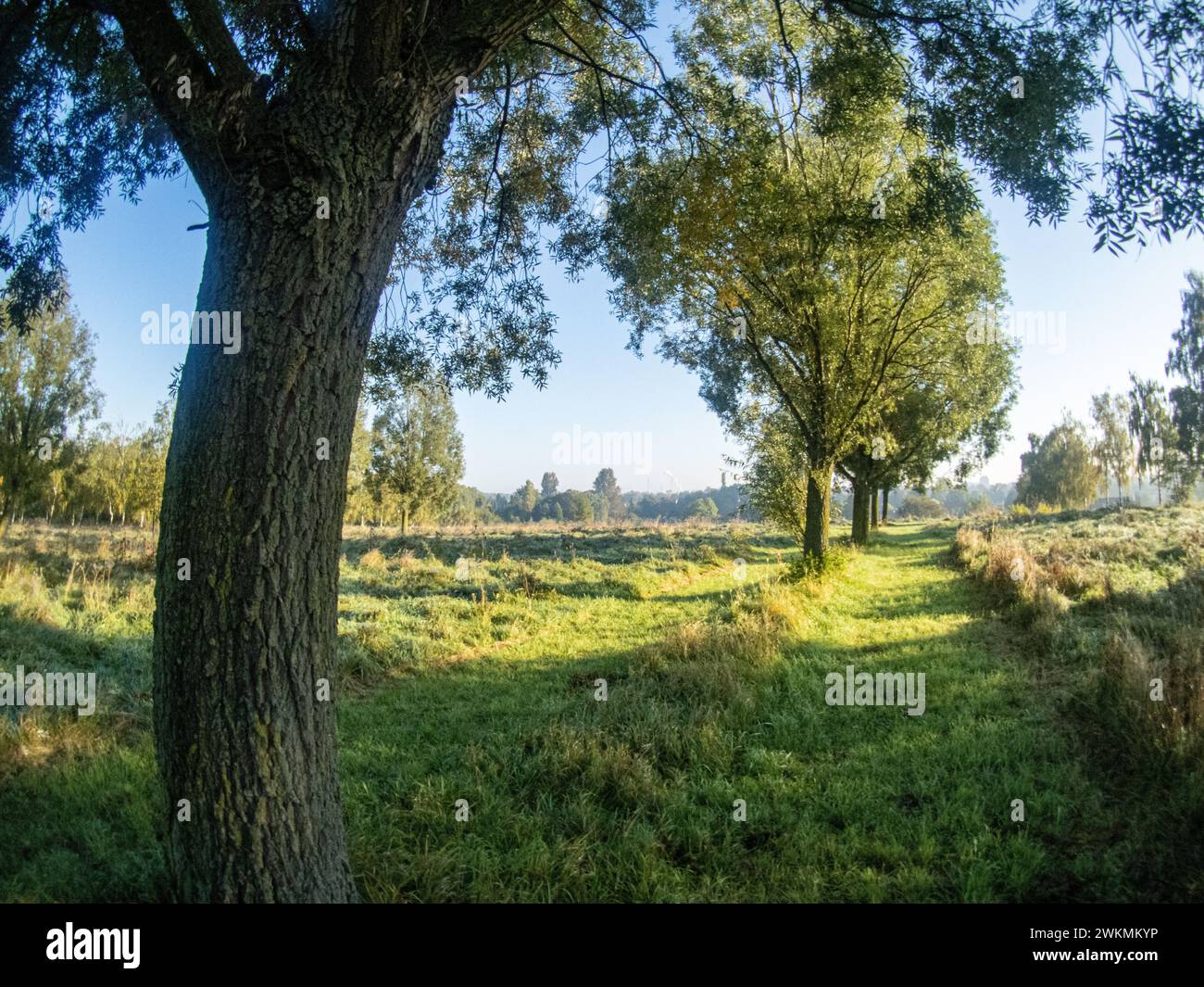 beautiful path through the countryside Stock Photo - Alamy