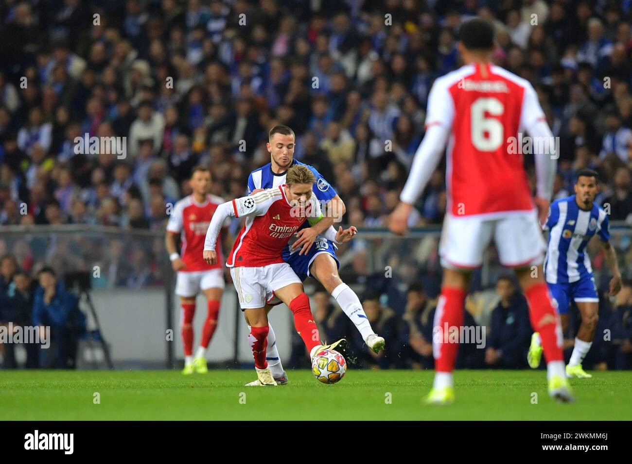 21st February 2024: Dragon Stadium, Porto, Portugal; Champions League ...