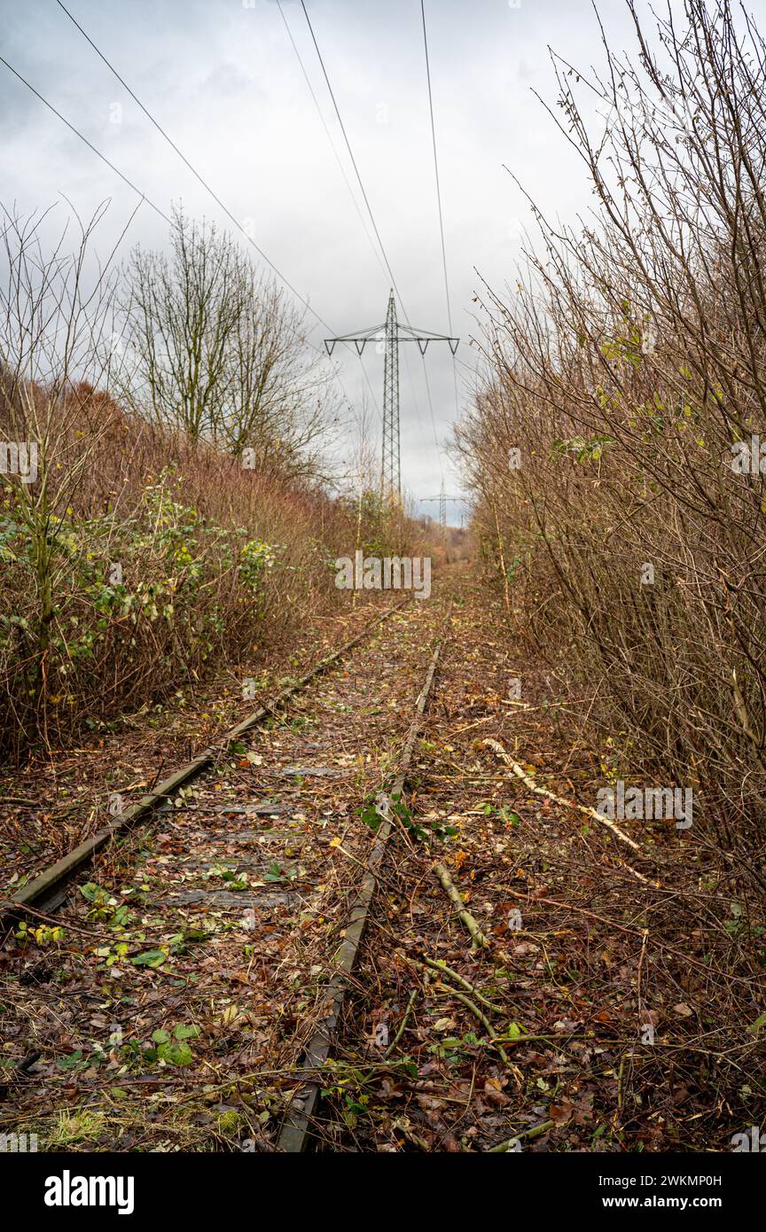 beautiful path through the countryside Stock Photo - Alamy