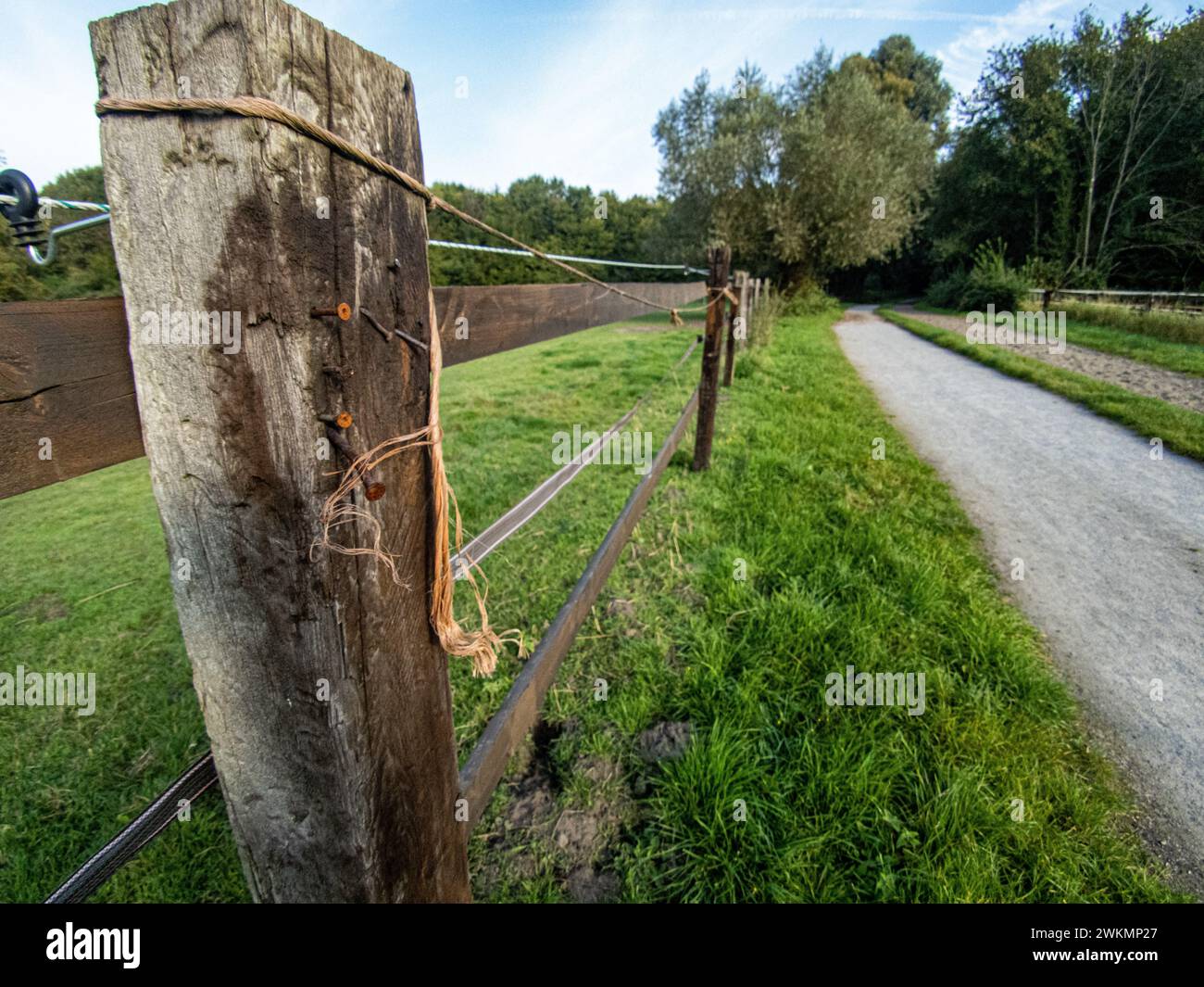 Wood other content hi-res stock photography and images - Alamy
