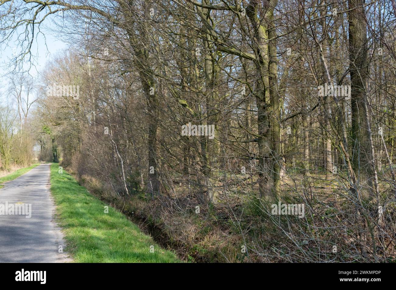 beautiful path through the countryside Stock Photo - Alamy