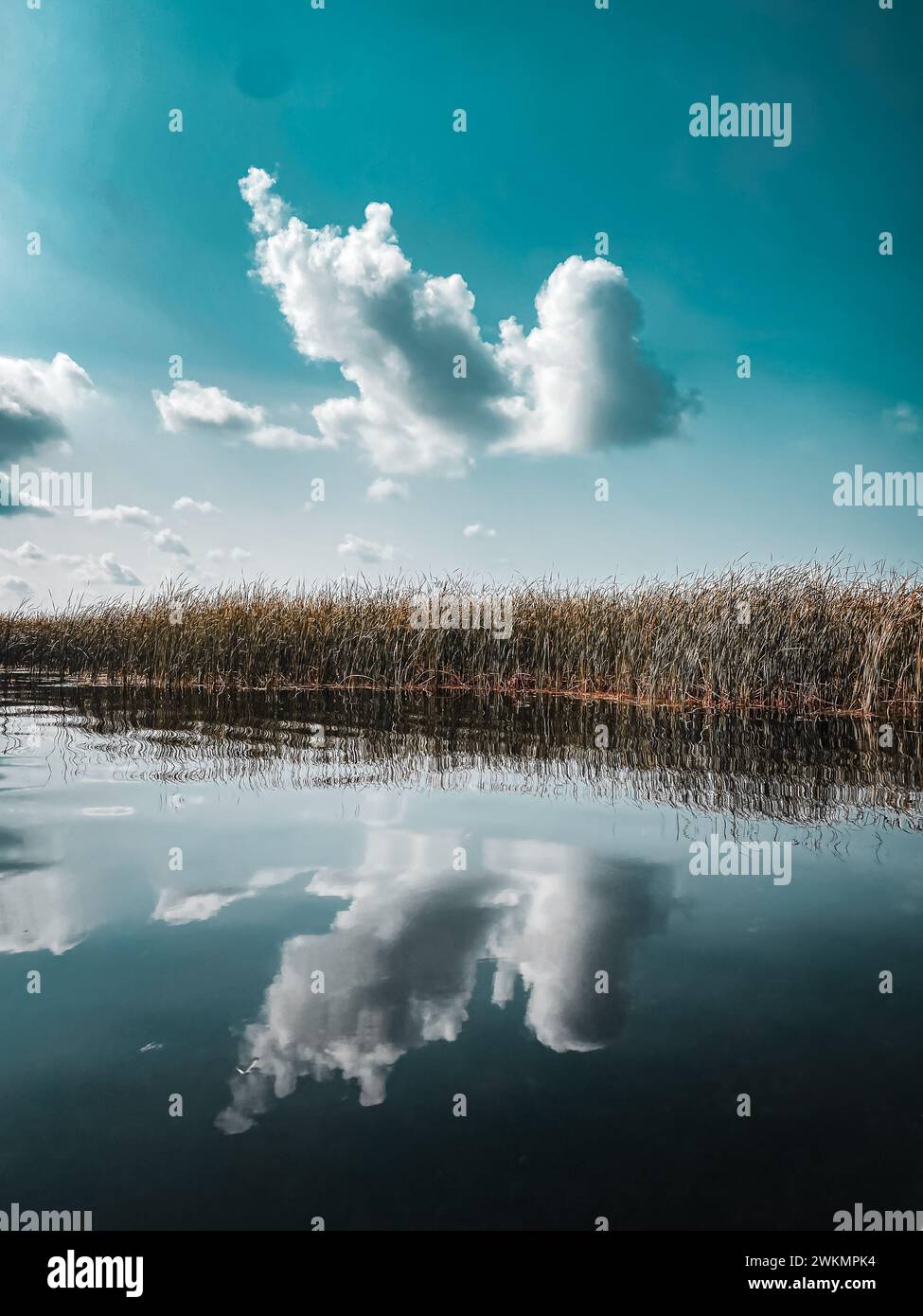 Dramatic cloud reflects into the still water Stock Photo - Alamy